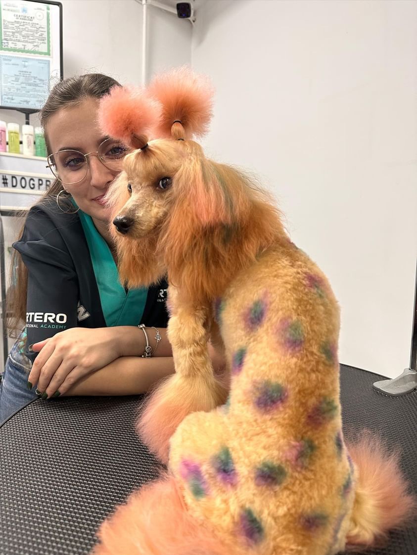 Groomzone – Salon toaletaj canin